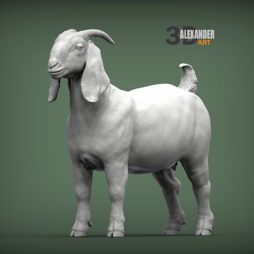 ♀️ Boer Goats female 3D printed model・ STL File for ・Cults