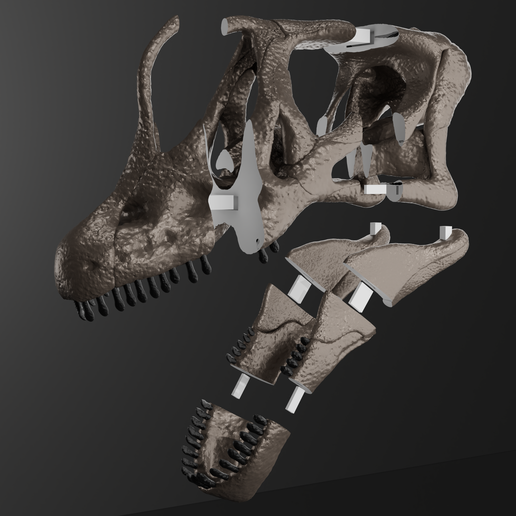 💀 Brachiosaurus skull 3d print・ STL File for 3D printing・Cults