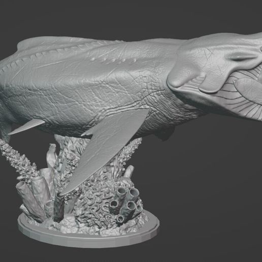🦈 Akula Avatar : Shark : Shark・ STL File for ・Cults