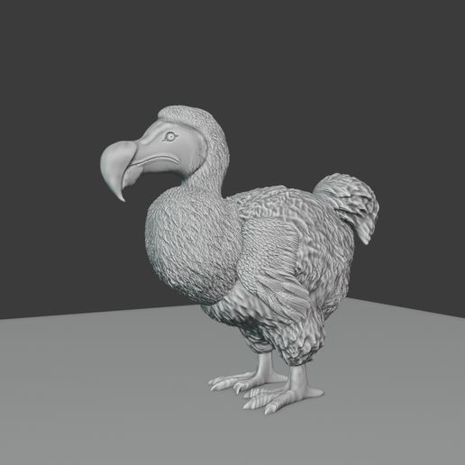 🦤 dodo stl・ STL File for 3D printing・Cults