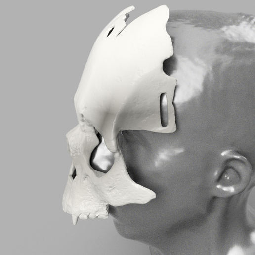 🪖 Death Knight - Mask - Escape from Tarkov - 3D Model・ STL File for 3D ...
