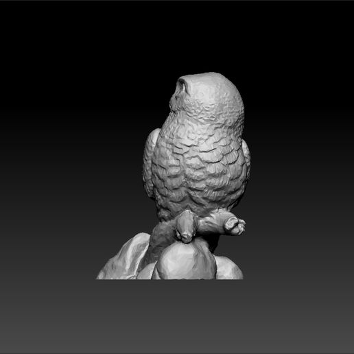 STL file Owl decorative - owl decoration - realistic owl 3d model 🦉 ...