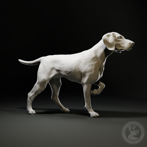 🐕 German Shorthaired Pointer・ STL File for 3D printing・Cults