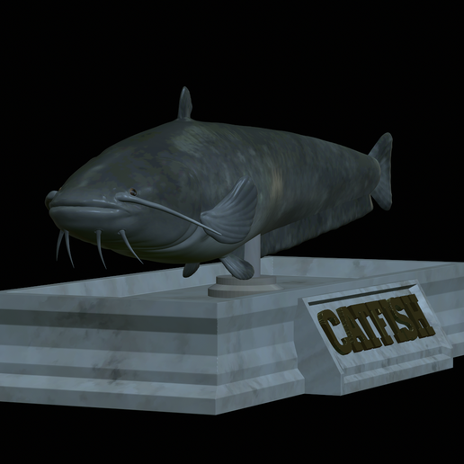 🐠 fish wels catfish / Silurus glanis statue detailed texture for 3d ...