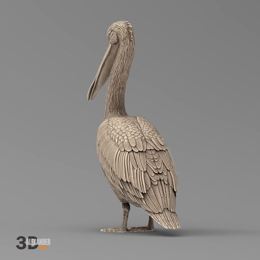 🐦 Pelican 3D print model・ STL File for 3D printing・Cults