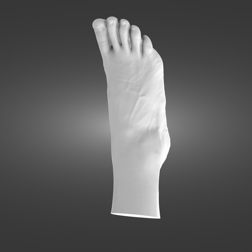 STL file Female foot ♀️ ・3D printing design to download・Cults