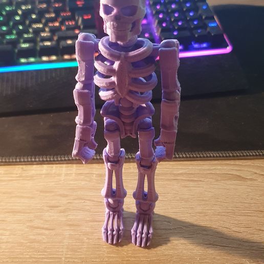💀 skeleton・ STL File for 3D printing・Cults