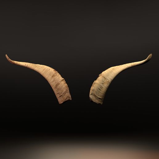 🐐 Magnus The Goat Horns - Cosplay・ OBJ File for 3D printing・Cults
