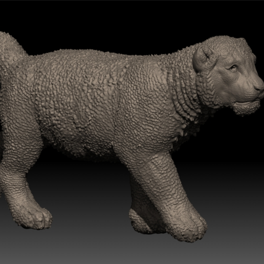 🦁 Homotherium cub・ 3D File for 3D printing・Cults