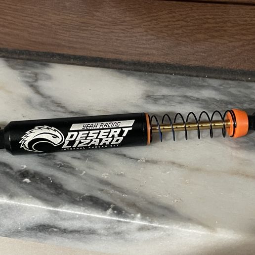 desert lizard shocks