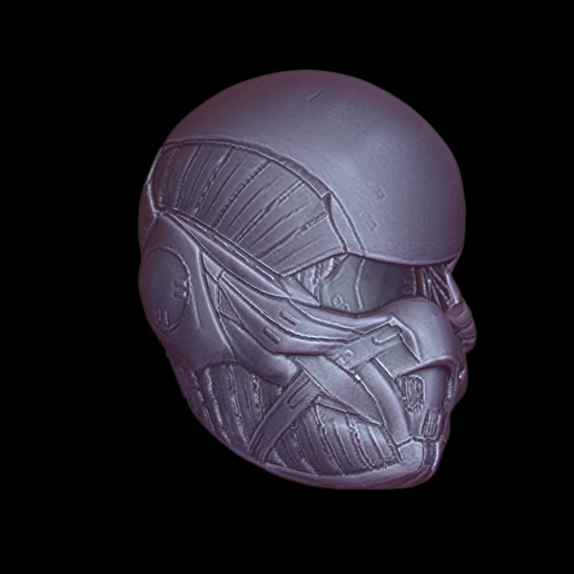 ♀️ Crysis FEMale Nanosuit helmet for cosplay 3d printing・ STL File for ...
