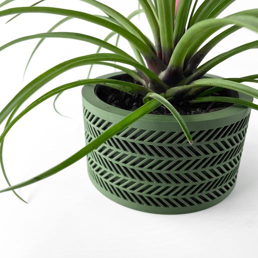 🪴 The Quen Planter Pot with Drainage | Tray & Stand Included | Modern ...