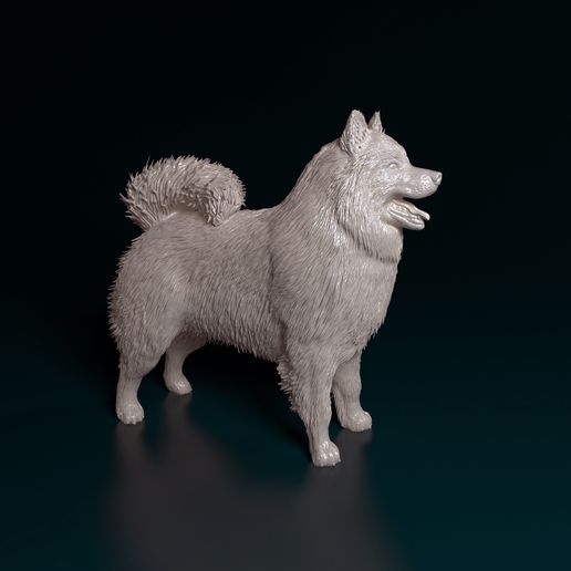 STL file Samoyed dog 🐕 (OBJ)・3D printer design to download・Cults