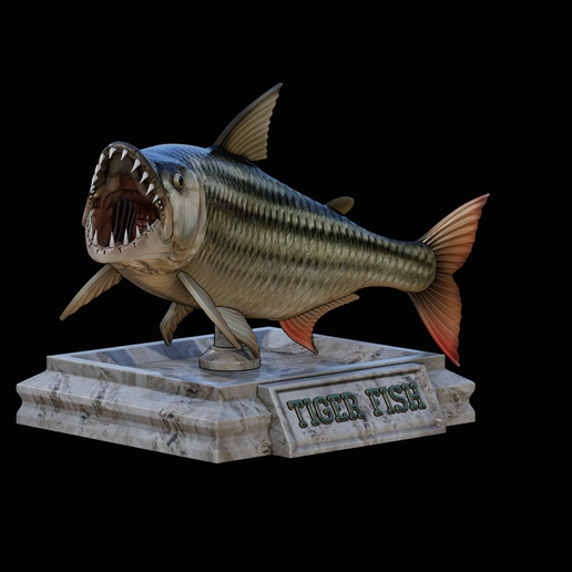 🐠 fish tigerfish / Hydrocynus goliath trophy statue detailed texture ...