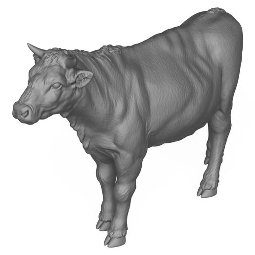 🐄 Young Cow 3D Print Model・ STL File for 3D printing・Cults
