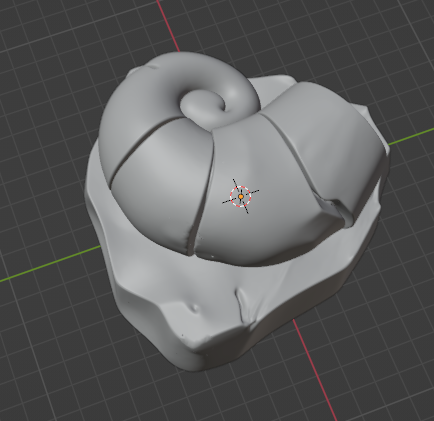 🐉 Fossil Helix/Concha・Free STL File for 3D printing・Cults