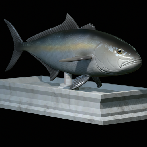STL file fish greater amberjack / Seriola dumerili statue detailed ...