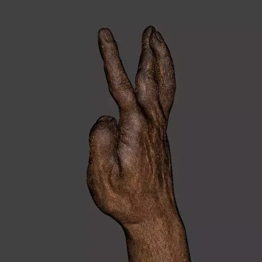 Westside sign hand・ STL File for ・Cults