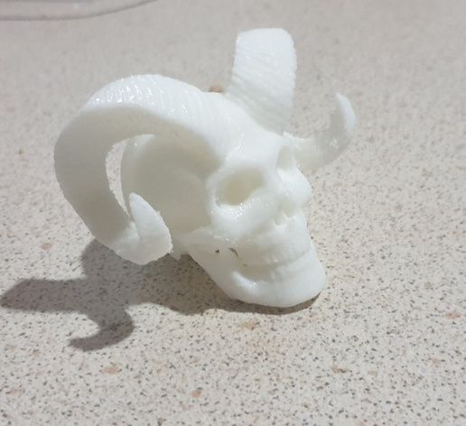 STL file Ram Skull 🐏 ・3D printer model to download・Cults