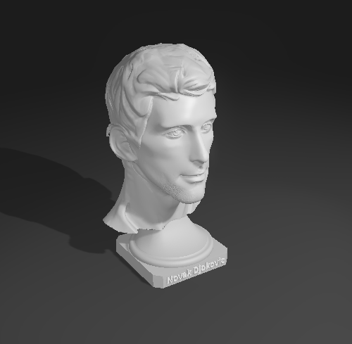 🎾 Novak Djokovic - Premium Statue・ STL File for 3D printing・Cults