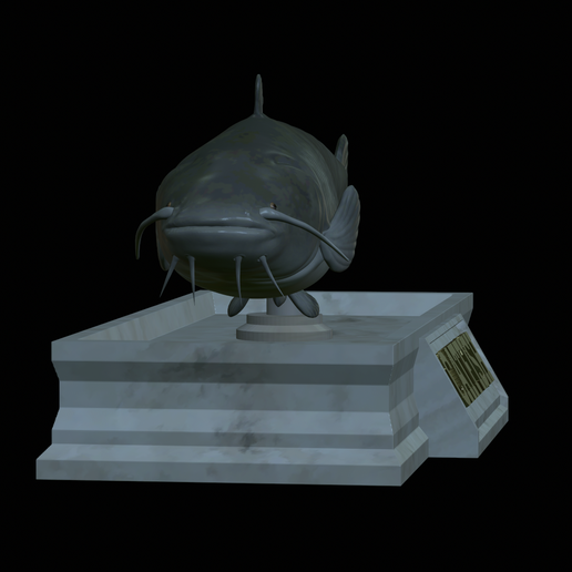 🐠 fish wels catfish / Silurus glanis statue detailed texture for 3d ...