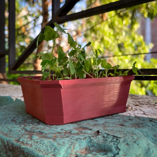 Archivo STL gratis Maceta plantera rectangular para suculenta o bonsai ...