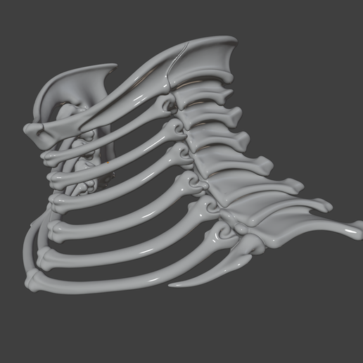 🦴 Bone Gorget・ STL File for 3D printing・Cults