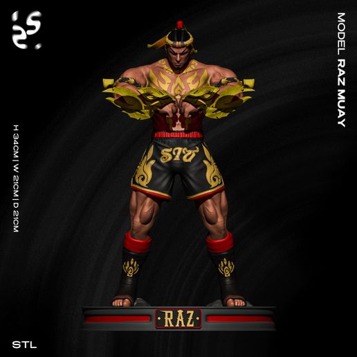 arquivo 3D (AOV) Arena de valor | Raz Muay 👾 ・design de impressão 3D ...