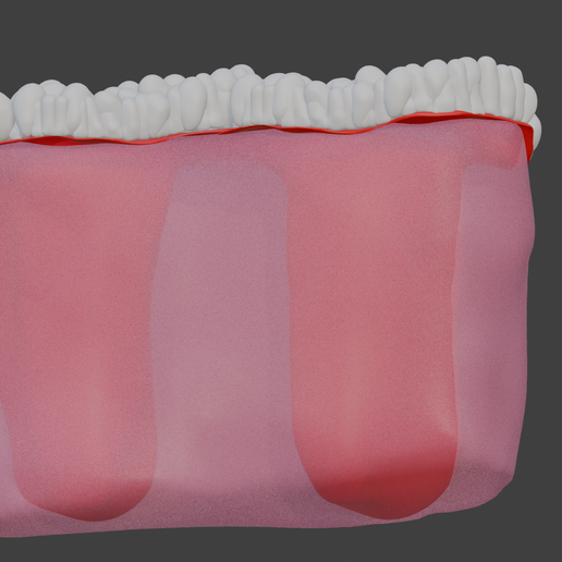 OBJ file 3D Model of the Epithelium of the Colon 🧪 ・Design to download ...