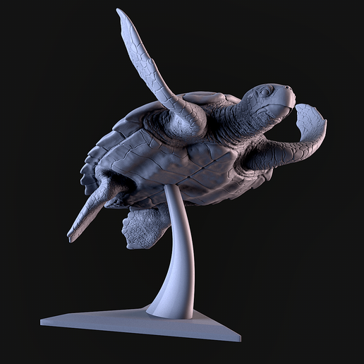 🐢 Turtle・ STL File for ・Cults