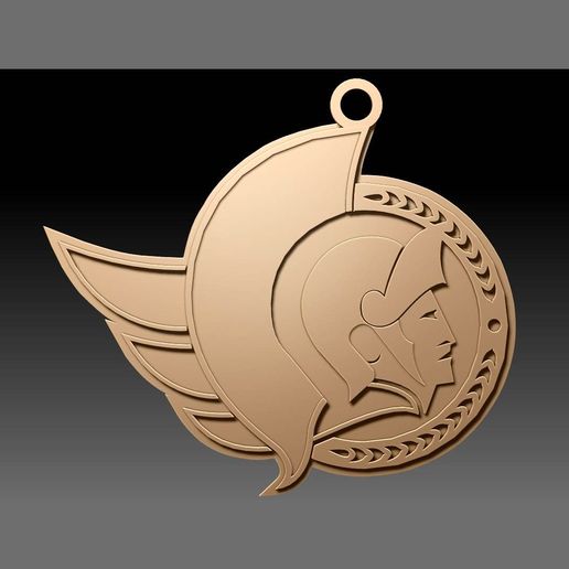3D file NHL ottawa senators keychan shield color printable 🛡️ ・3D ...
