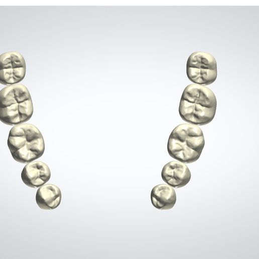 🦷 3Shape Library Molar_Natural_4・ STL File for 3D printing・Cults