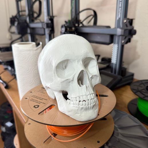 💀 Human Skull・Free STL File for 3D printing・Cults