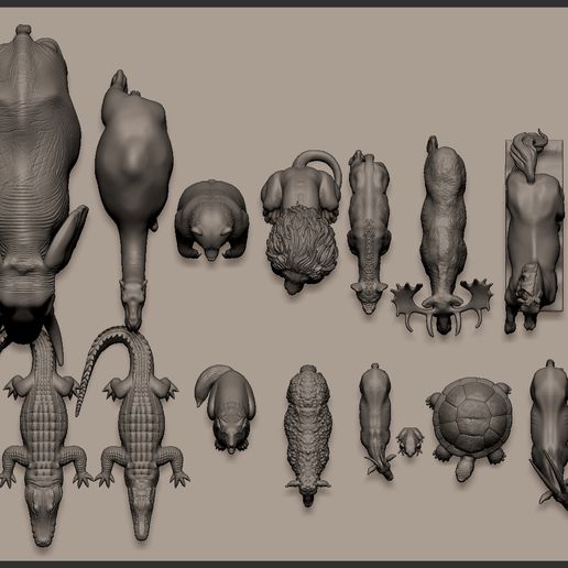 🐄 Animal Kingdom Wildlife set STL Files Modelo imprimible en 3D・Archivo ...