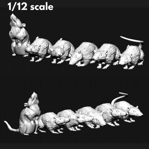 🐀 1/12 scale Rats for dioramas・Free OBJ File for 3D printing・Cults