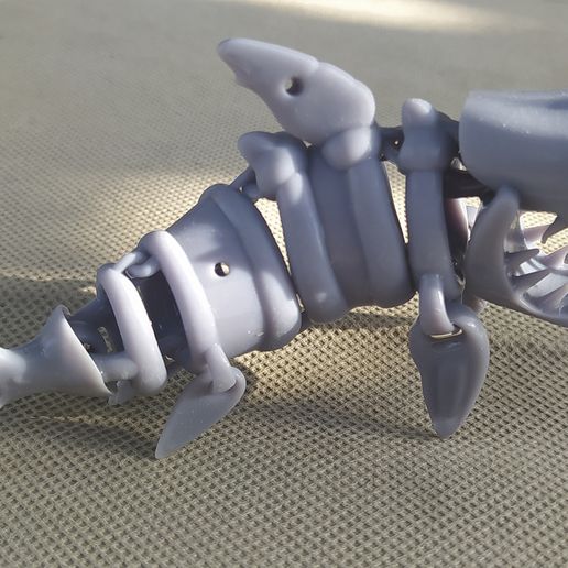 💀 SKELETON SHARK Articulated・ STL File for 3D printing・Cults