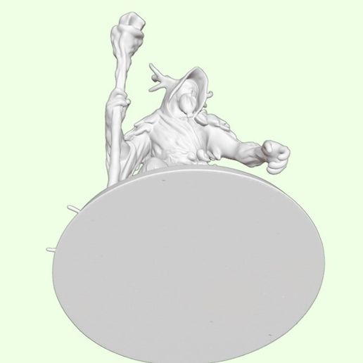 🎲 Vaelgor the Hollow Root – Druid of the Withered Bloom (Verdant Pact ...