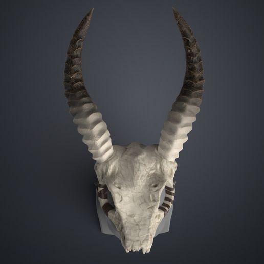 💀 Shaman Skull with Horns・ 3D File for 3D printing・Cults