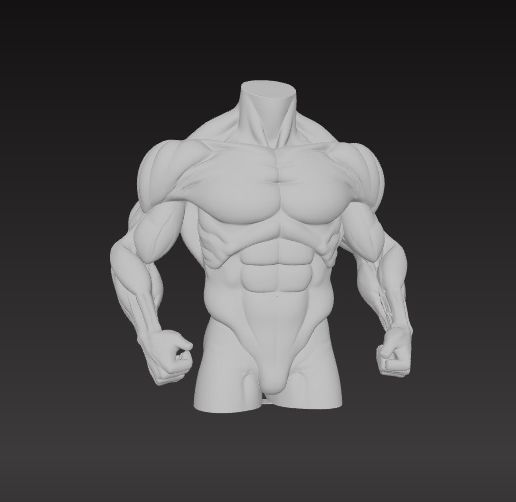 👨 torso・ STL File for 3D printing・Cults