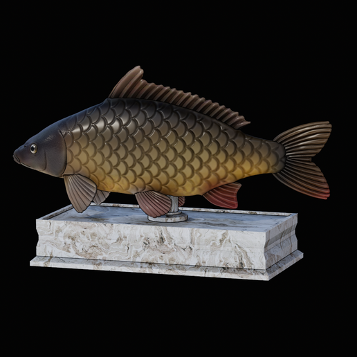 STL file fish carp / Cyprinus carpio with storage space / for 3d ...