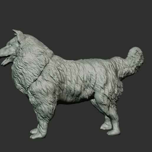 STL file shetland sheepdog 3d print file 📁 ・3D printable model to ...