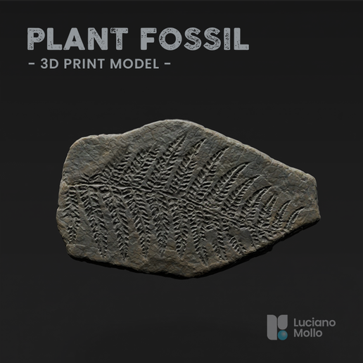 🌿 Plant Fossil・ STL File for 3D printing・Cults