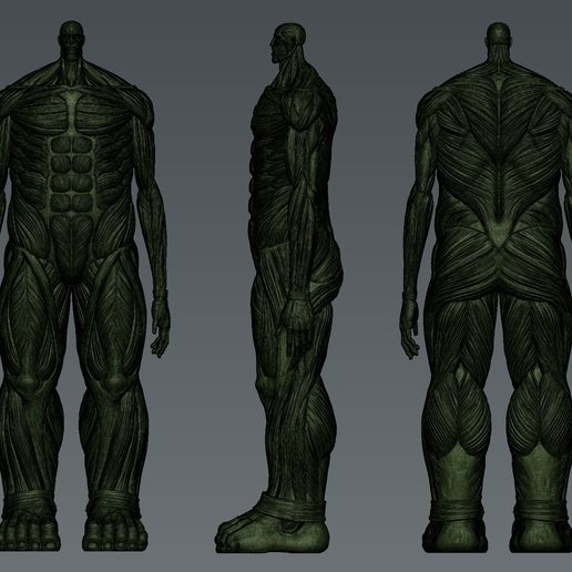 💬 Attack on Titan Titan 60m・ STL File for 3D printing・Cults