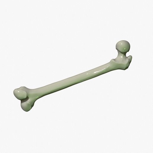 🦴 human femur for 3D printing・ STL File for ・Cults