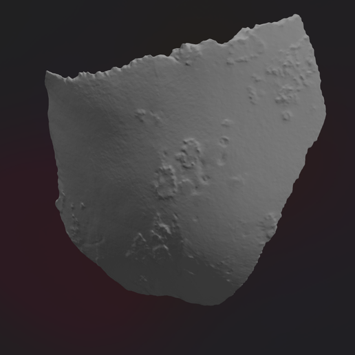 🦴 Human Parietal Bone – 3D Printable Skull Anatomy Model - Dr.Brkyth ...