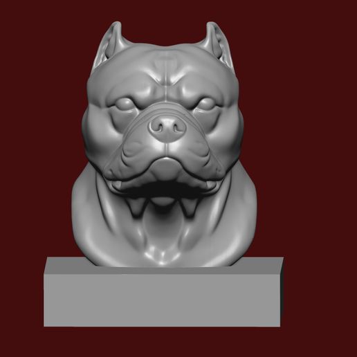 👤 American Bully face bust・ STL File for 3D printing・Cults