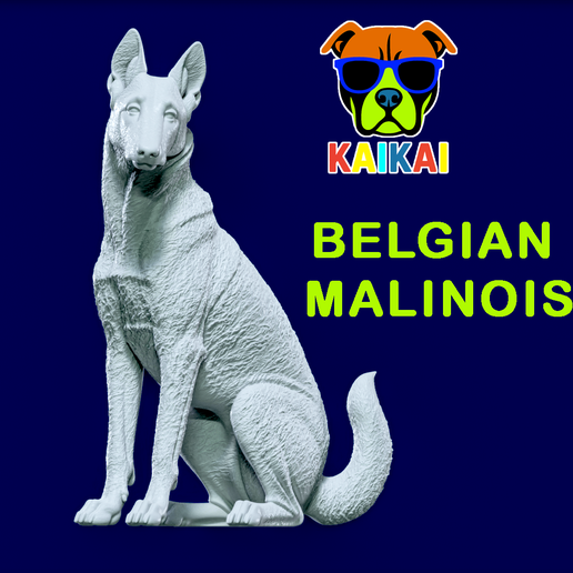 🐱 Malinois Sheepdog - Belgian Shepherd model - 3D print・ 3D File for 3D ...