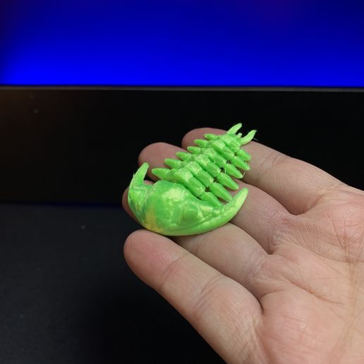 🗝️ Articulated Trilobite Arthropod・Free STL File for 3D printing・Cults