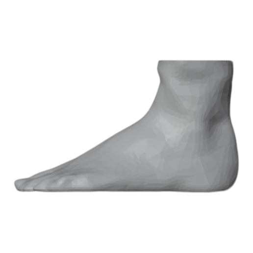 🦶 3D Human Foot Scan Model – STL for Shoe Design, Medical Study, and ...