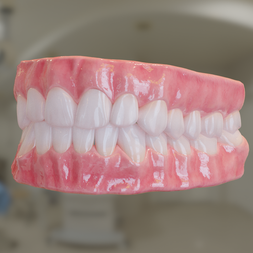 3D file Human Teeth 🧪 ・3D printer model to download・Cults